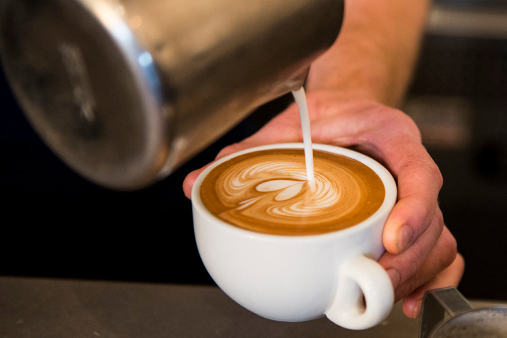 WHOLESALE & CAFE SUPPLY – COFFEE MIO