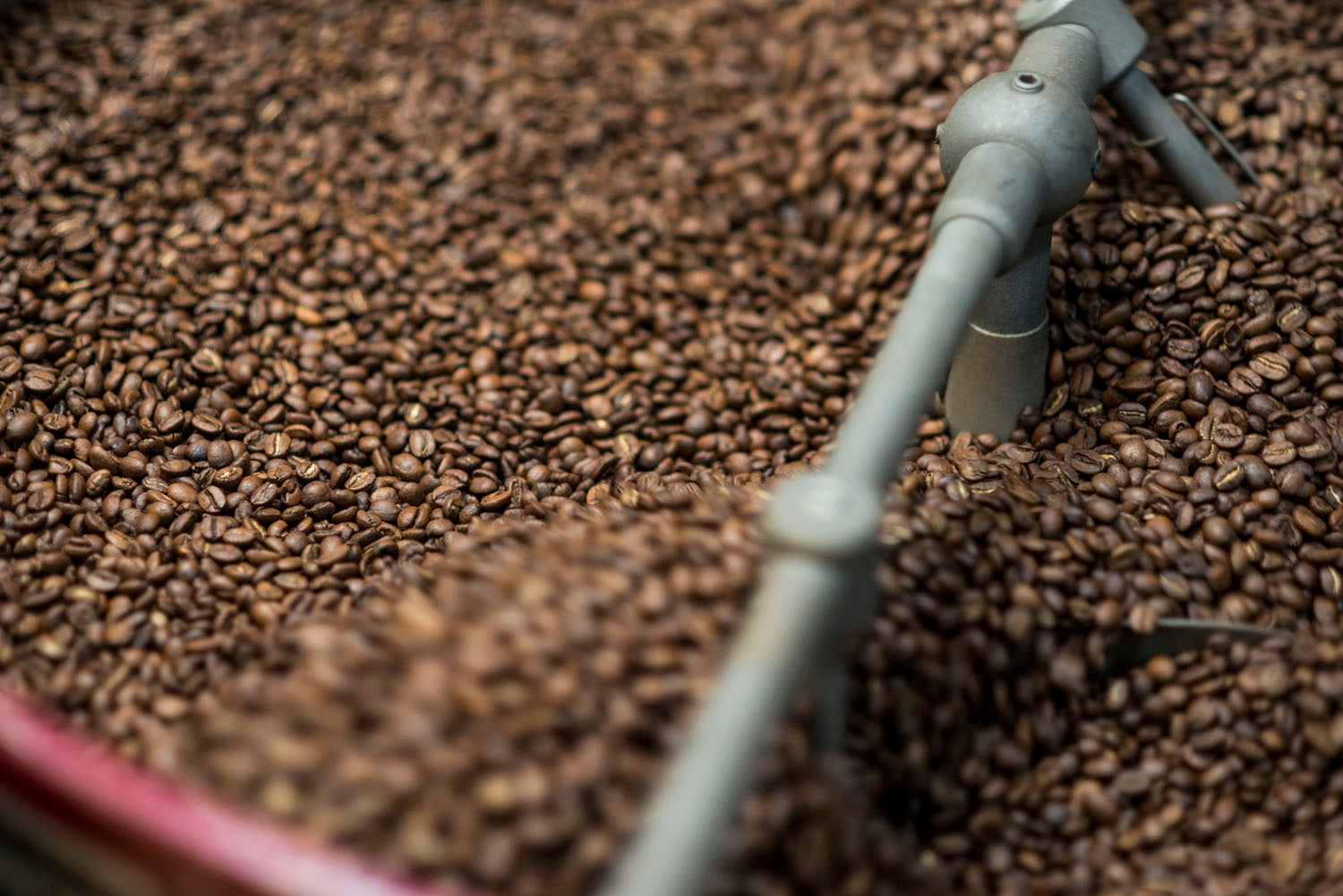 CONTACT US – COFFEE MIO